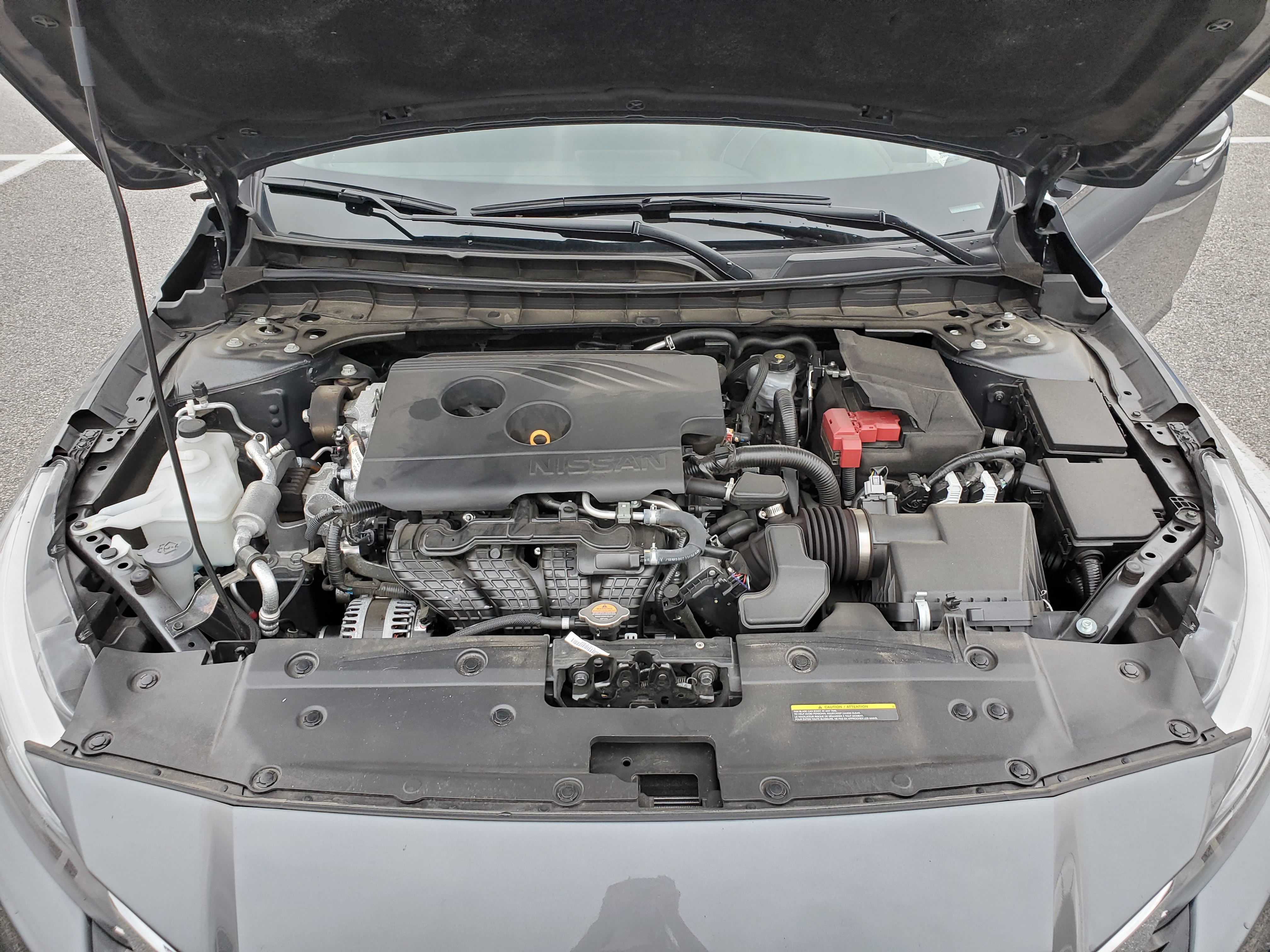 Cars, Culture, and the Modern World