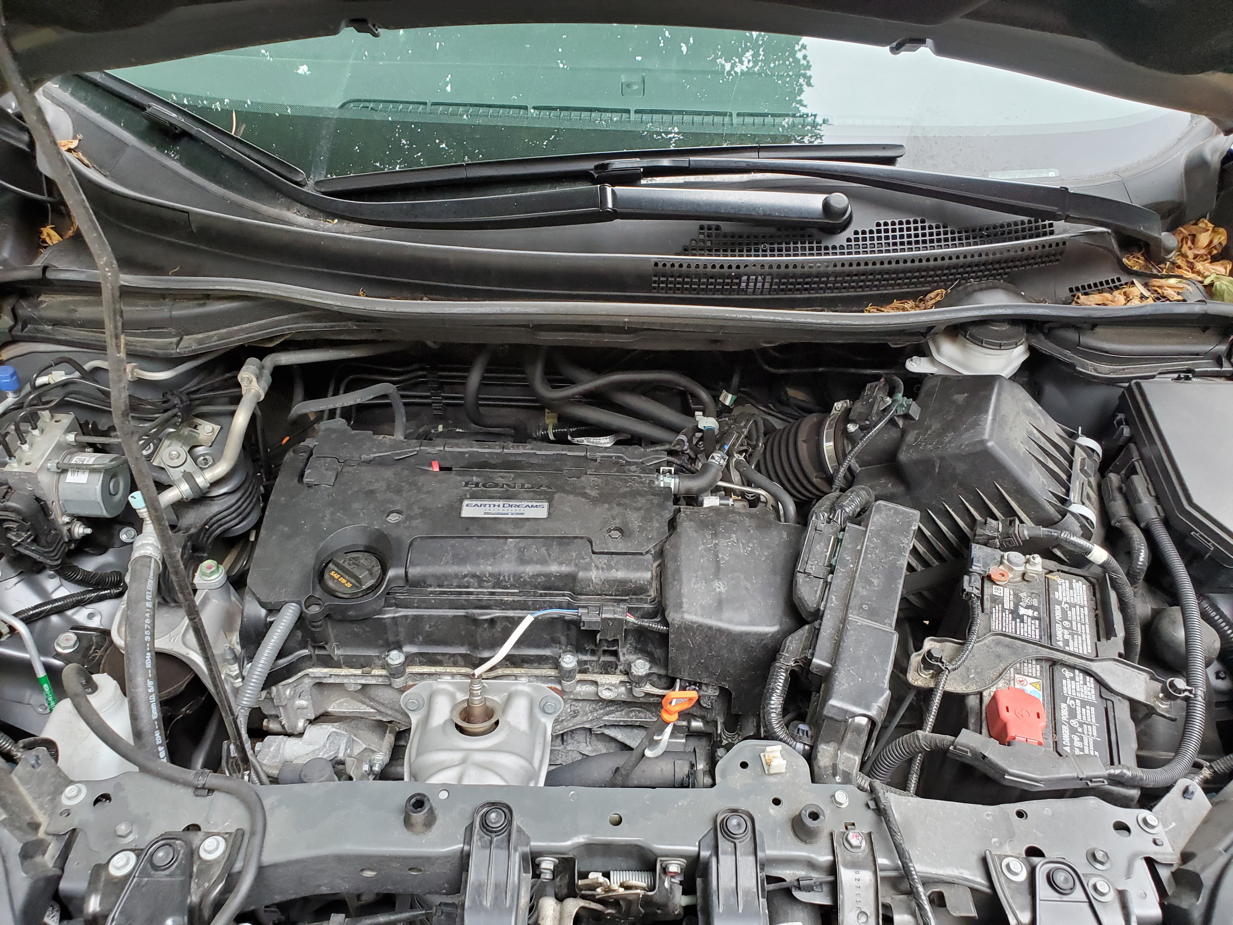 Cars, Culture, and the Modern World