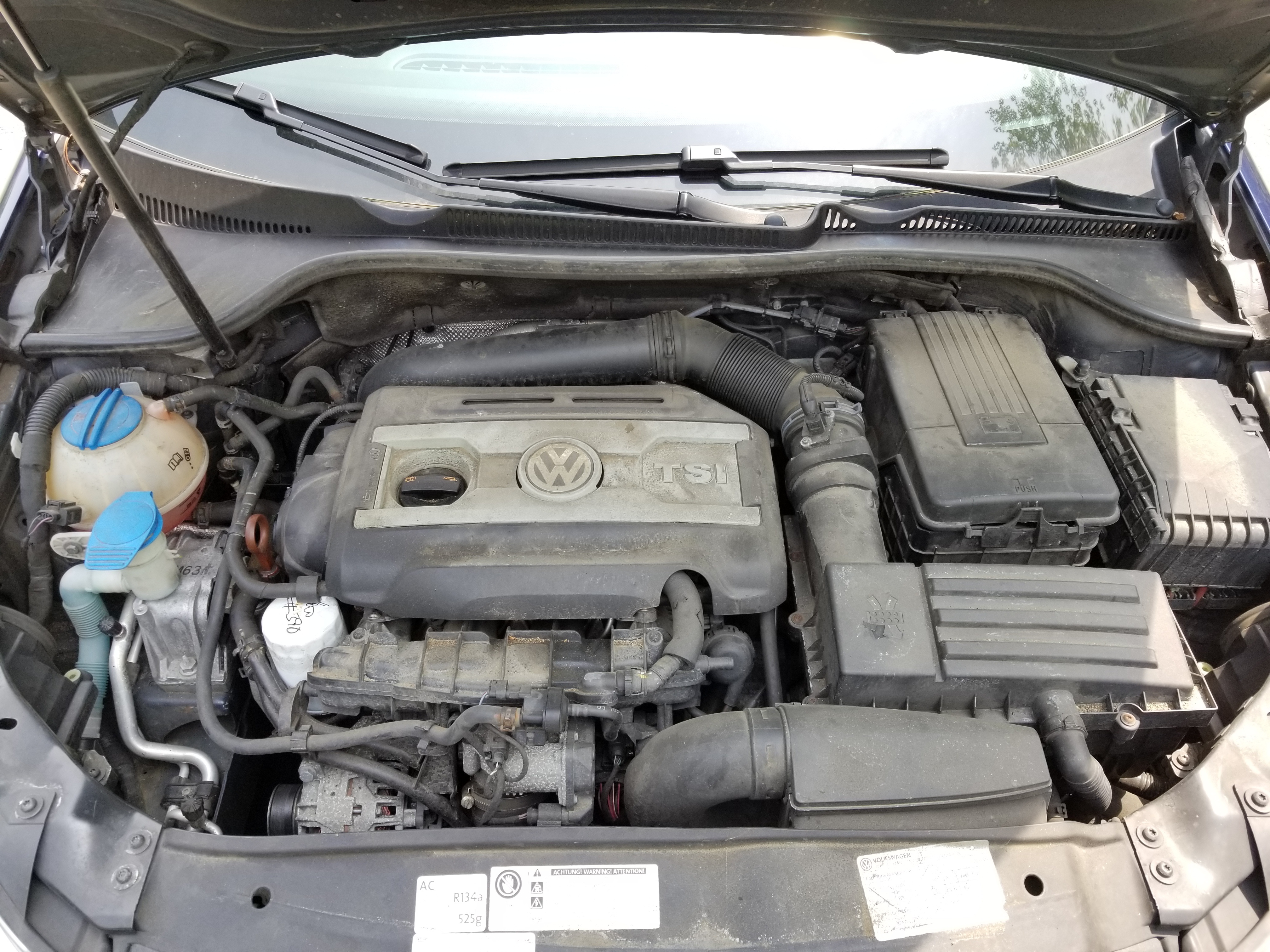 Cars, Culture, and the Modern World