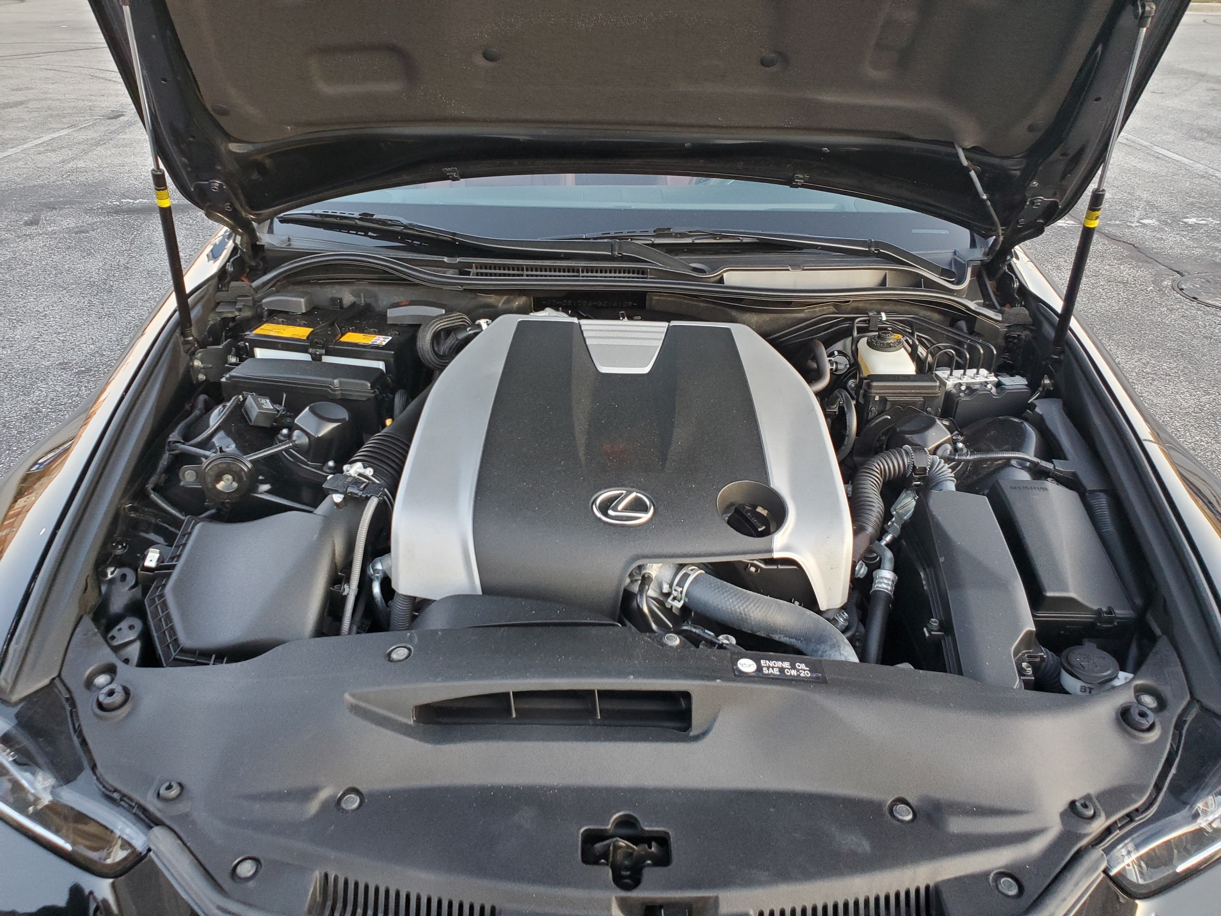 Cars, Culture, and the Modern World